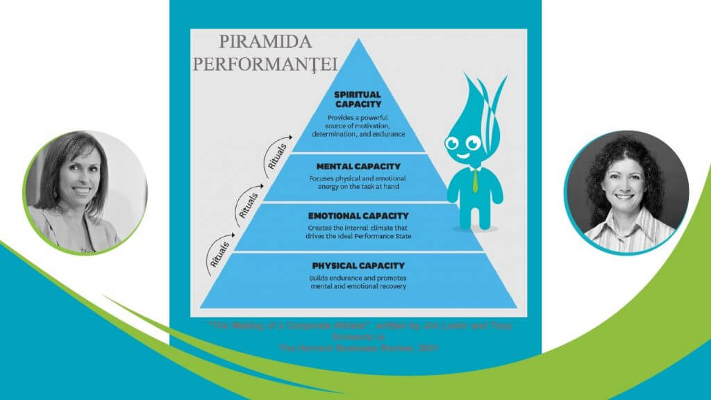 Performance Pyramid Study - Wellandia